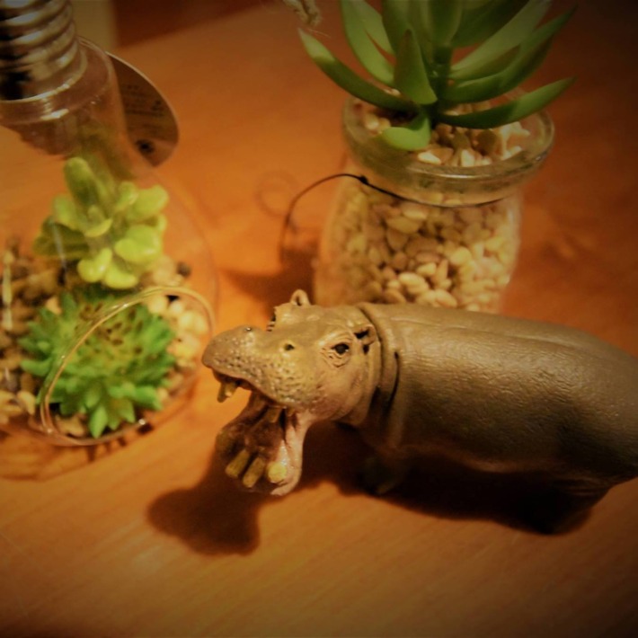 お久しぶりです。ブログ再開します♪ | Tech Hippo Lab